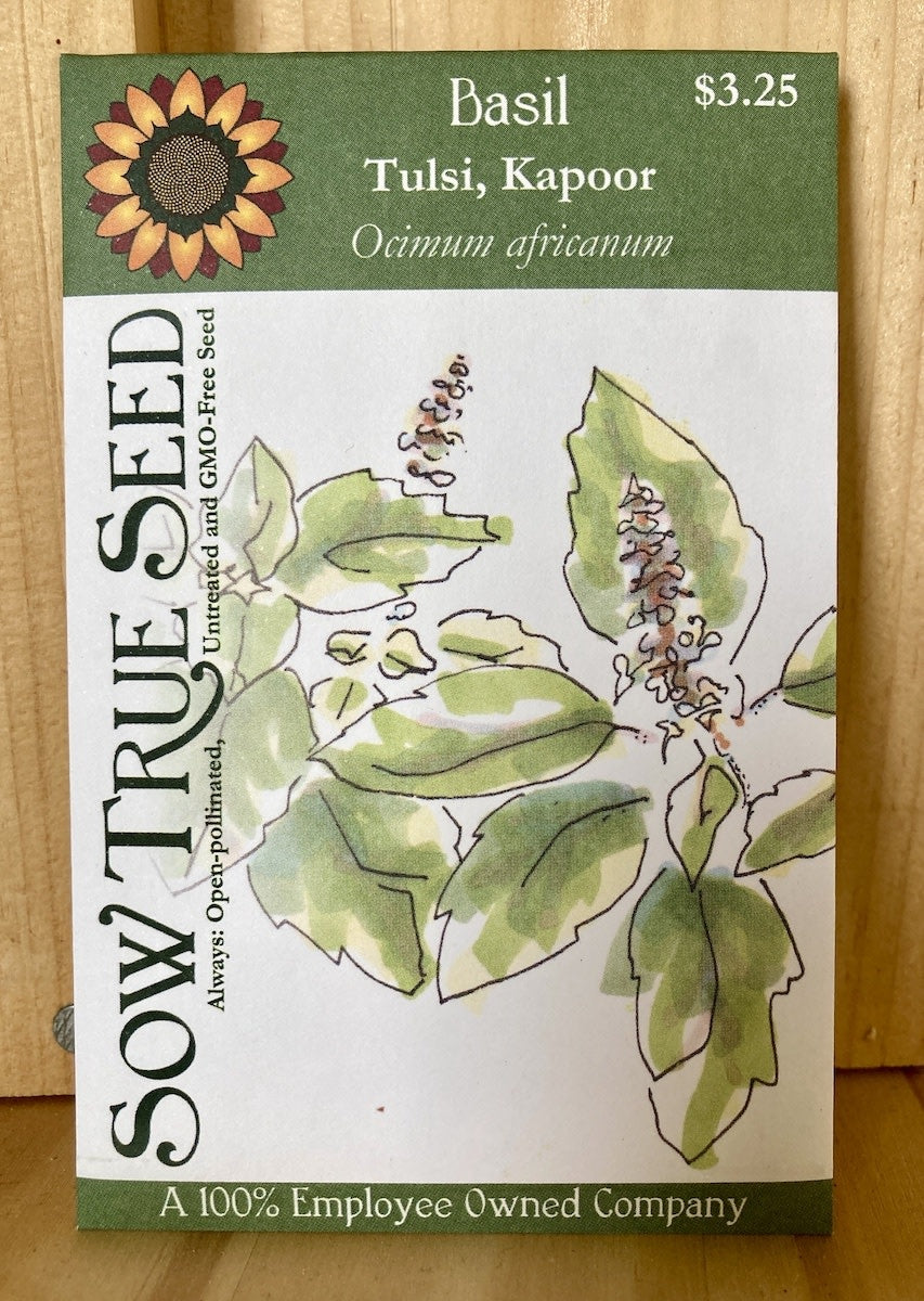 Sow True Seeds, Basil (Kapoor Tulsi) - Honey and the Hive – Honey & the Hive